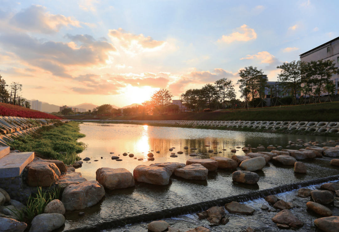 建证城市新生|创新治水，打造新时代生态型河流